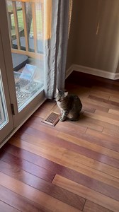 19K views · 1.2K reactions | She thinks I’m a stranger when I’m outside  | Cubby and Friends | Facebook