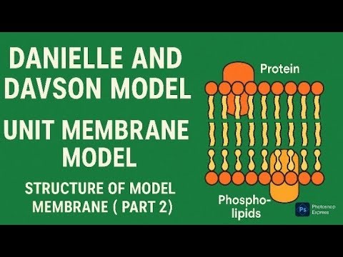 DANIELLE AND DAVSON MODEL//UNIT MEMBRANE MODEL//CELL BIOLOGY//STRUCTUREOFPLASMA MEMBRANE MODEL PART2