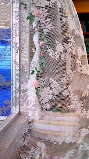 The room of enchantment ✨ #home #homedecor #interiordesign #studyroom #studyroomdesign #studyroomdecor #bookshelf #bookorganizer #viral #viralreels #viralvideo #viralpage | Noetic Nest