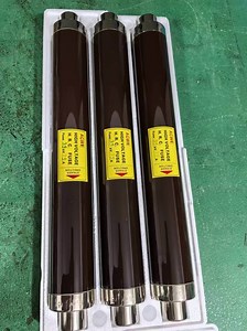 [Hot Item] 36kv Fuse in Sf6 Switchgear to Protect Load Breaker Switch and Current Transformer