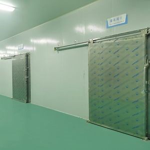[Hot Item] Stainless Steel Cold Room Door Insulated Cold Room Door Walk-in Cooler Door Freezer Door