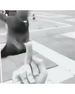 Owh Fuck 🤦‍♂️ Comedy Ytshorts,memes