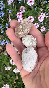 Cut and polish three possible geodes #cuttingrocks #geodes #geode #ocogeode #sonorangeode | RockHunter Mark