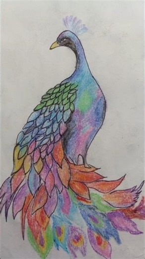 my first oil pastels crayon 🖍️ drawing 'peacock' 🦚 easy and beautiful best drawing for beginners
