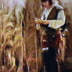 22K views · 585 reactions | I’ll take transformation effects like these over CGI all day. #goodtimeshomevideo #krull | VCR of Death | Facebook