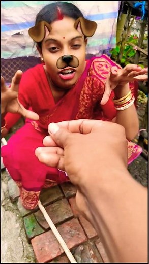 Niki is the most celebrity chihuahua in the world😂😂😂