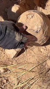 3.3K views · 38 reactions | Look what we foun while metaldetecting...