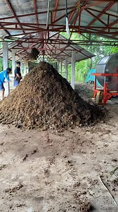 53K views · 164 reactions | ♨️ Hot Composting Benefits 1.)Faster breakdown – Compost ready in weeks when temps hit 55–70°C. 2.) Kills weeds & germs – Heat destroys seeds and pathogens at the core. #composting #compost | ATEA Organic Vermi Farm | Facebook