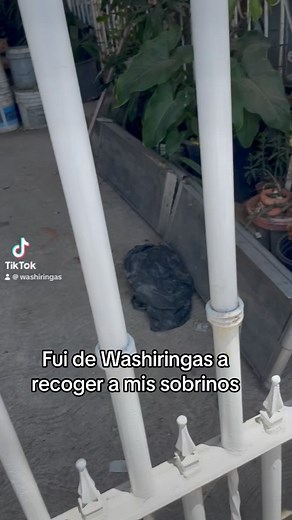 5 comments | De niñero con los sobrinos los recogí en la escuela | Washiringas | Facebook