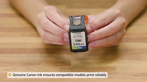 Canon PG-245 XL/CL-246 XL Genuine Ink Value Pack (2 Cartridges), Compatible with iP2820, MG2420/2924/2920/3020/2522/2525, MX492, TS3120/302/302a/202/202a/4520/3320, (Pack of 2)