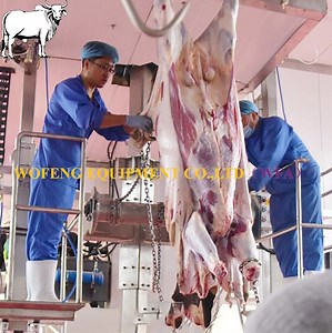 [Hot Item] Simple Operation Buffalo Abattoir Equipment Cow Skinning Machine for Cattle Slaughtering Processing Line